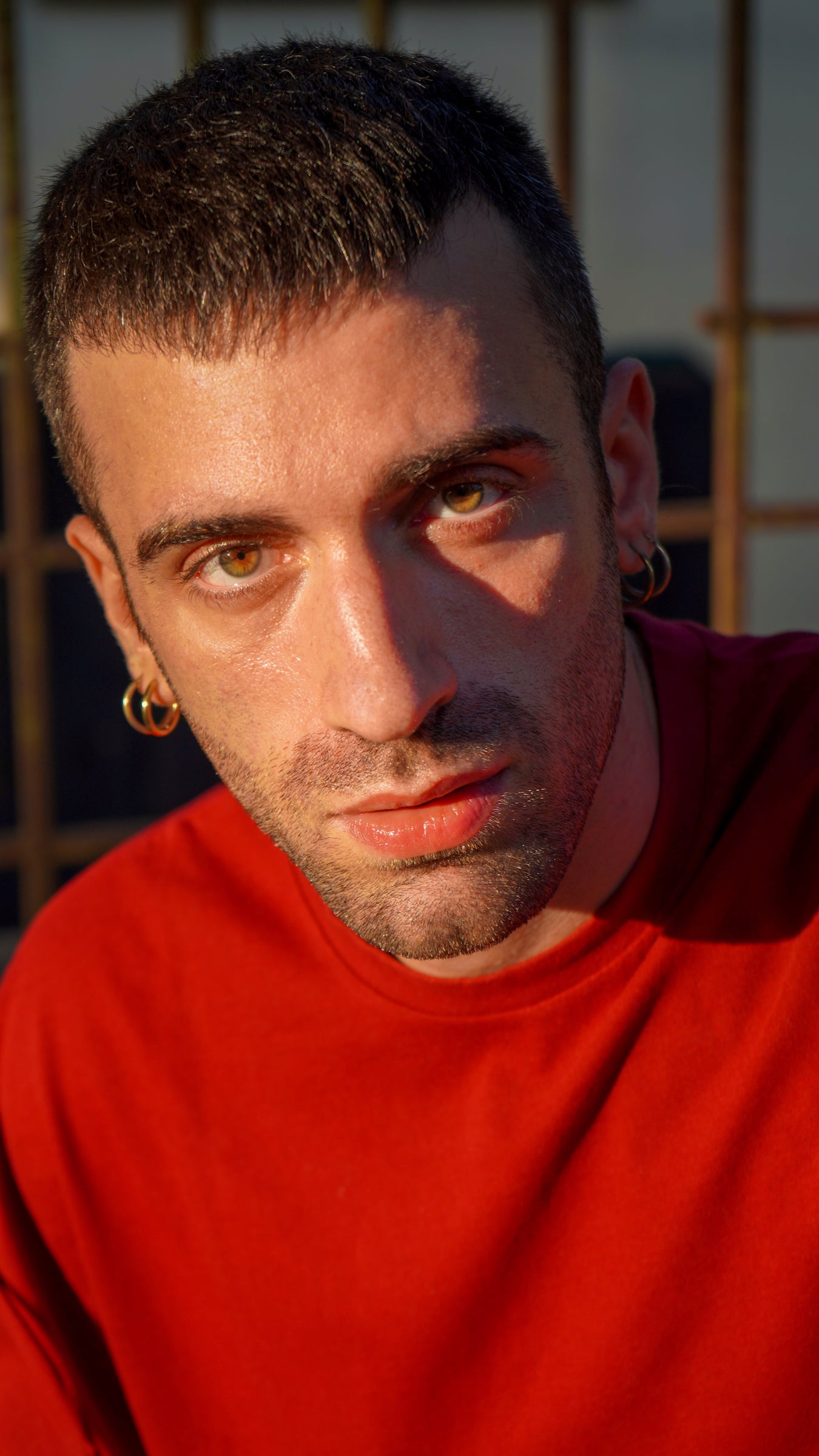 Luca Ambrosino | IPC International